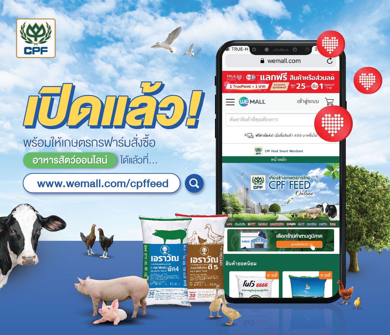 cpffeed smart merchant ซื้ออาหารหมู อาหารไก่ ซีพี ที่ร้านตัวแทนจำหน่ายออนไลน์