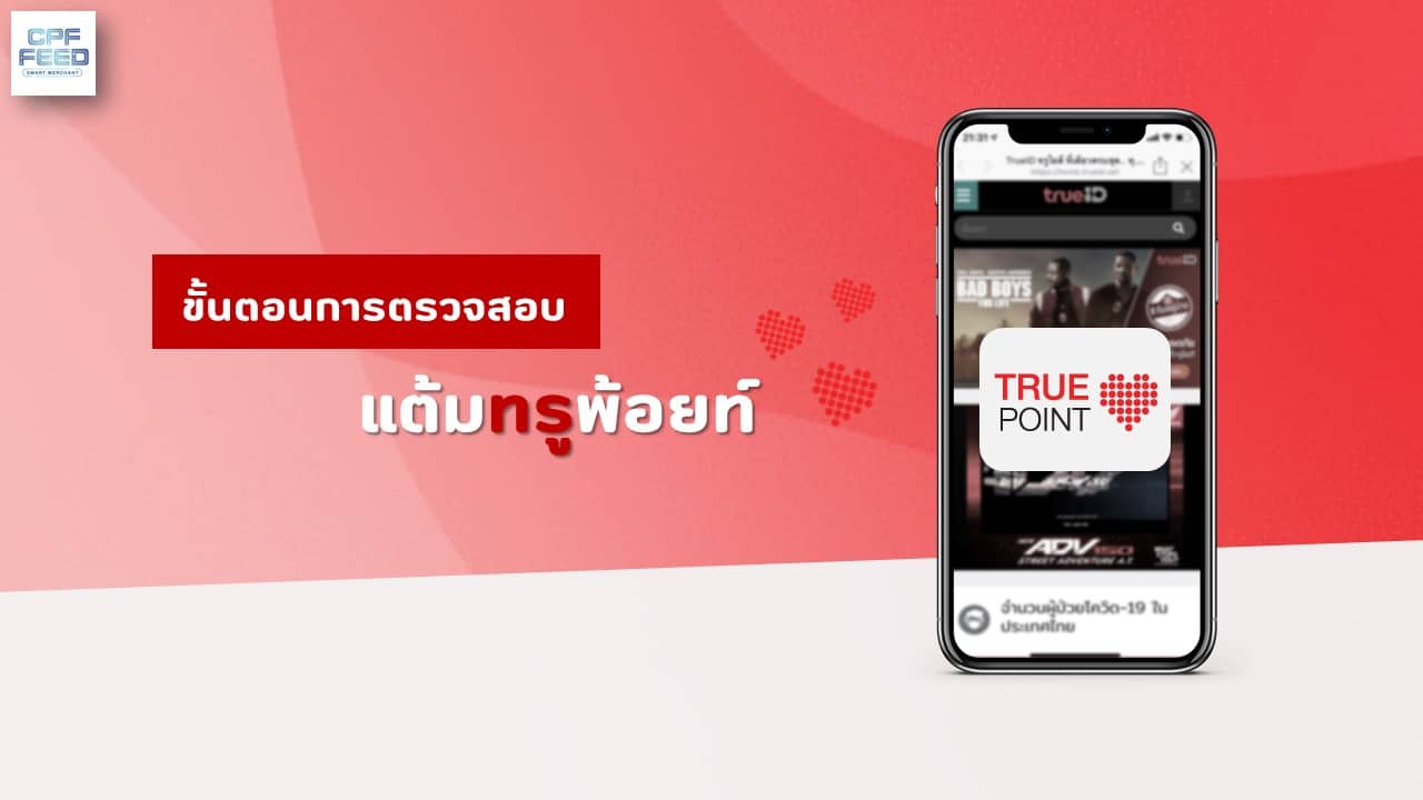 วิธีการตรวจสอบ True Point - CPF Feed Solution