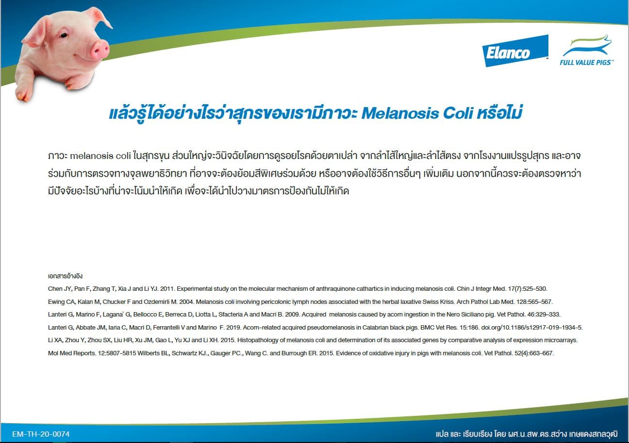 “EP1 Pig Point The Special โดย ผศ.น.สพ.ดร.สว่าง เกษแดงสกลวุฒิ CR ...