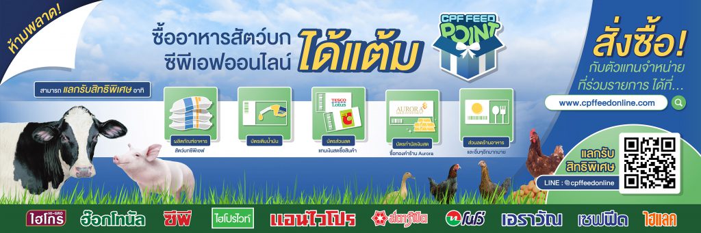 Redeem - CPF Feed Solution