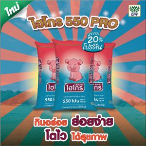 Cpffeed Solution 2024 - CPF Feed Solution