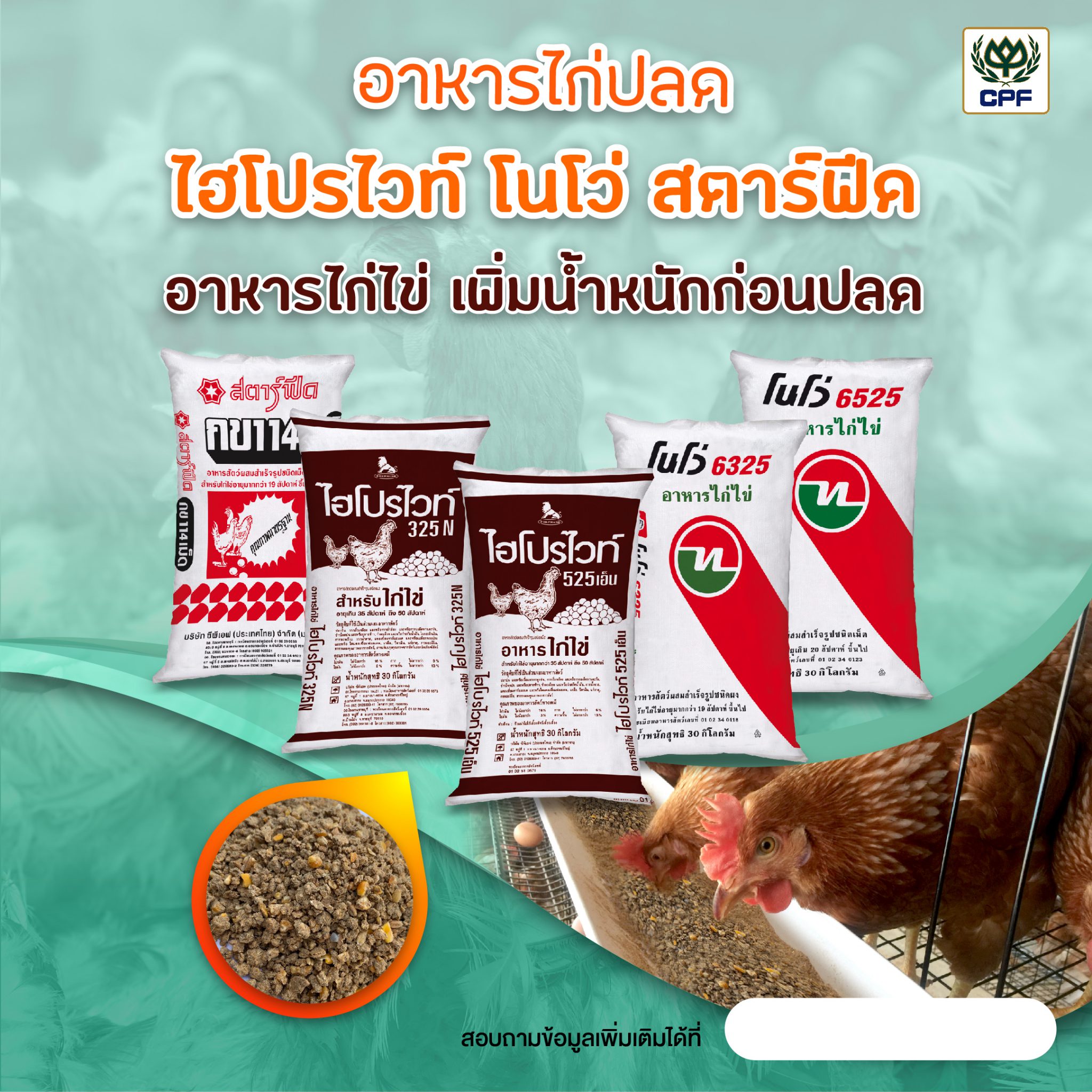 Cpffeed Solution 2024 - CPF Feed Solution