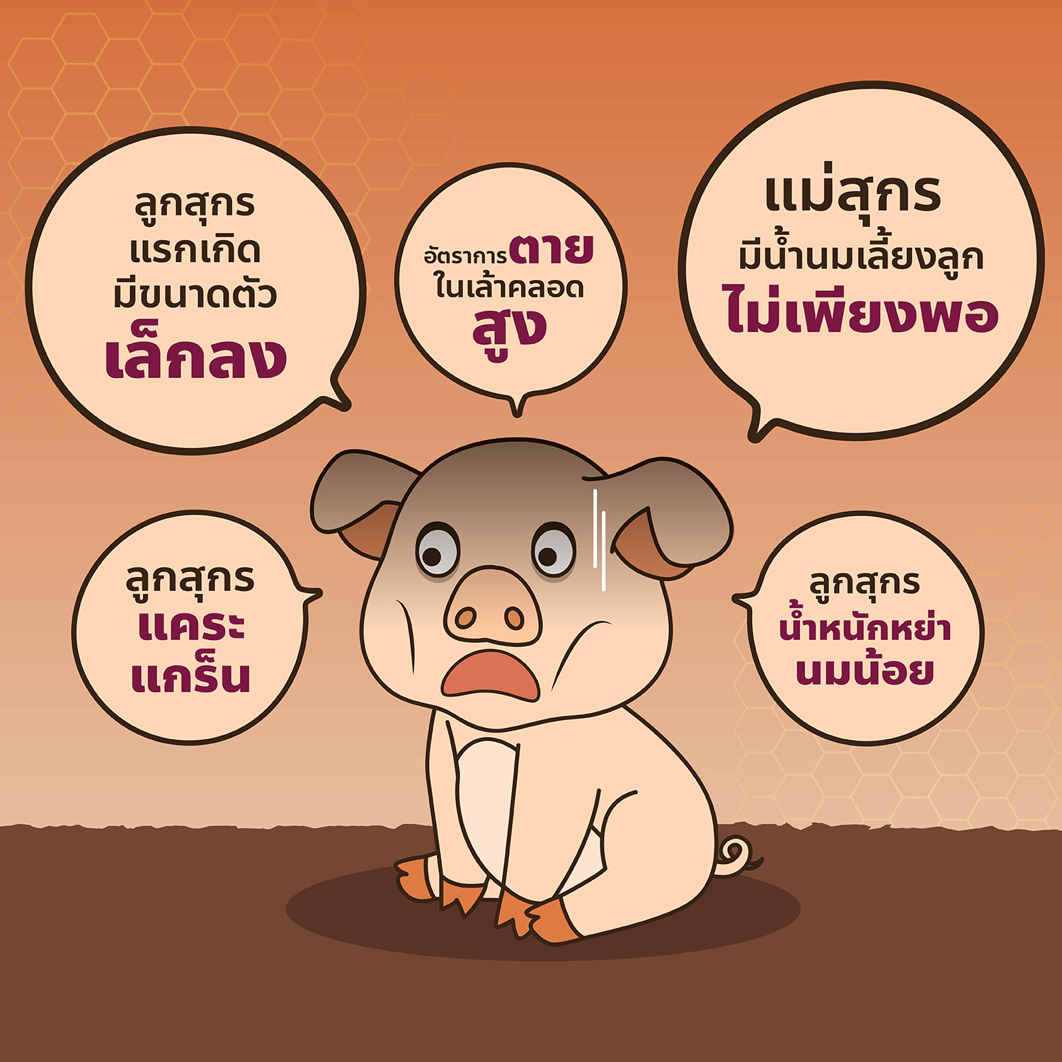 Prewean-Postwean - CPF Feed Solution