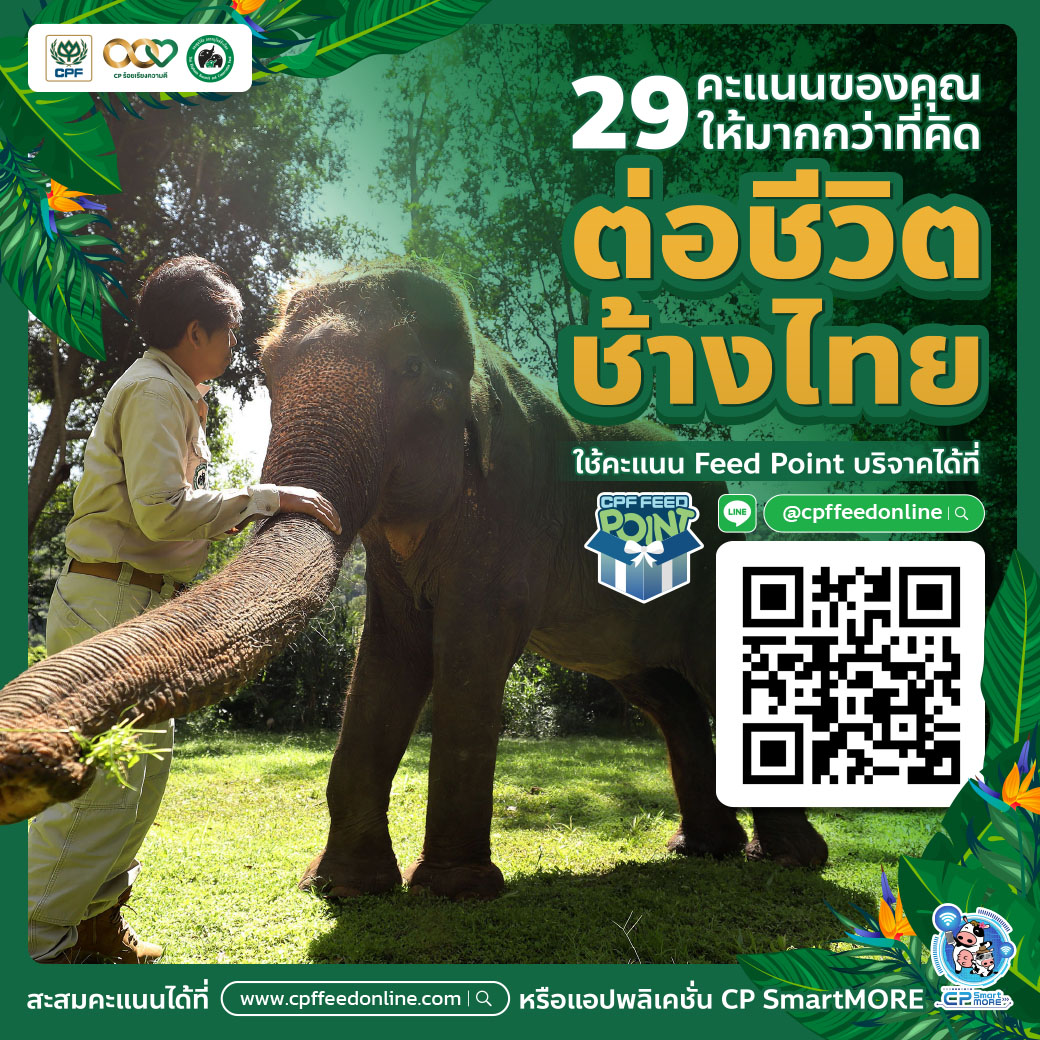 Cpffeed Solution 2024 - CPF Feed Solution