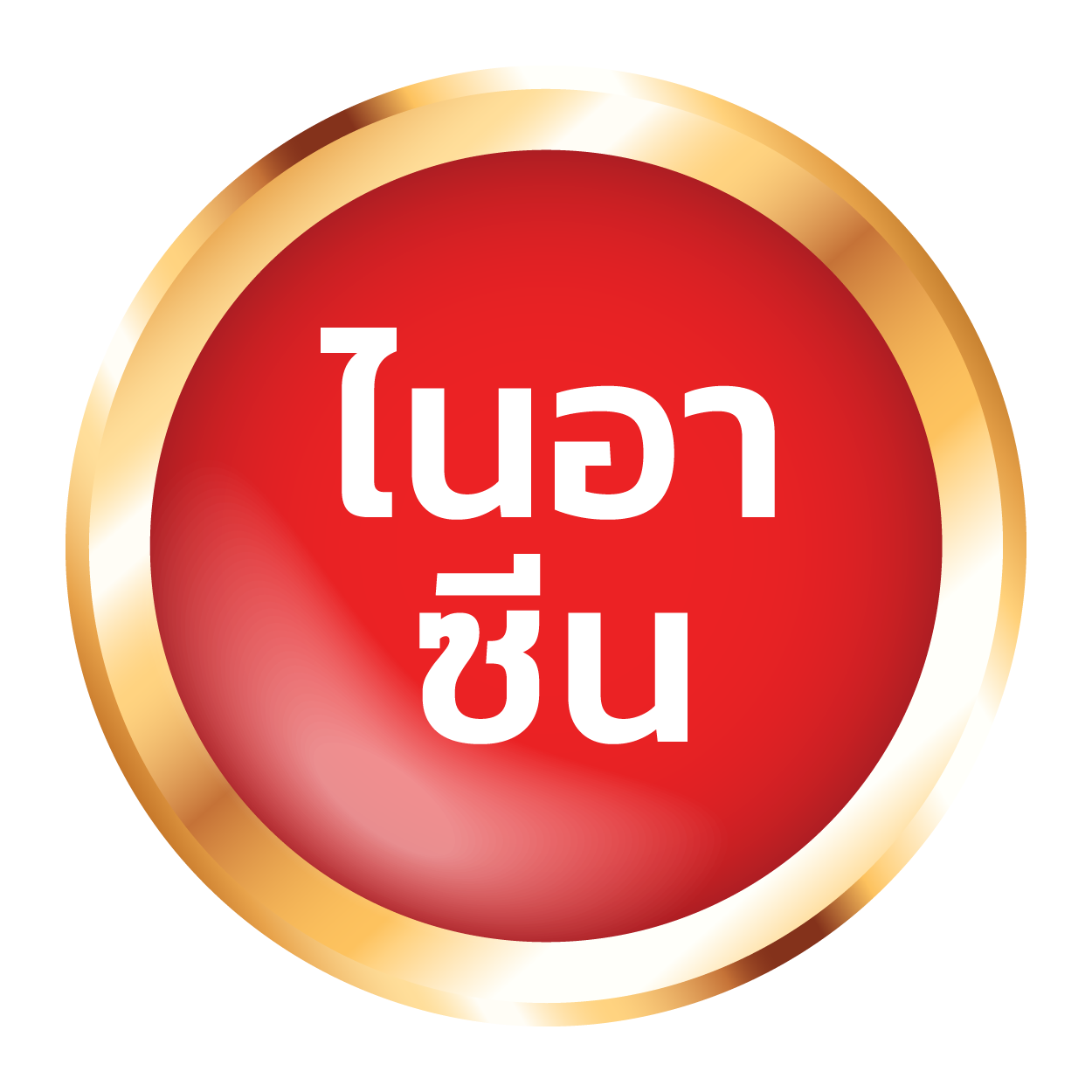 อาหารโค 005-DS - CPF Feed Solution