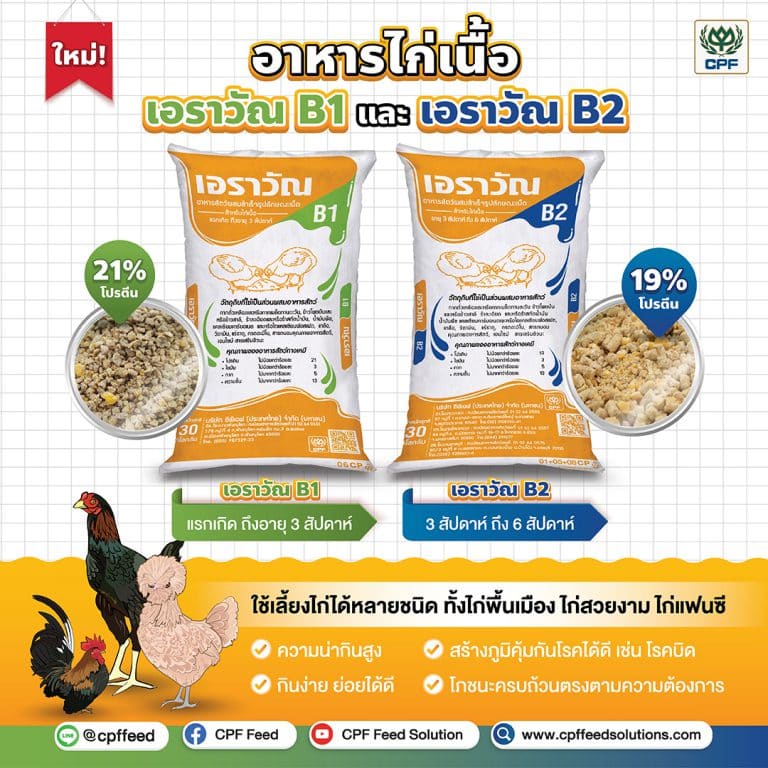 Cpffeed Solution 2024 - CPF Feed Solution