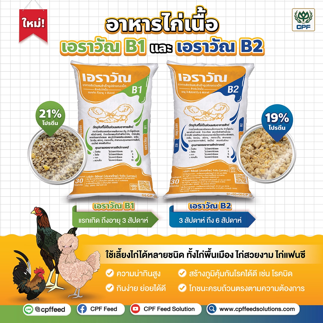 Cpffeed Solution 2024 - CPF Feed Solution