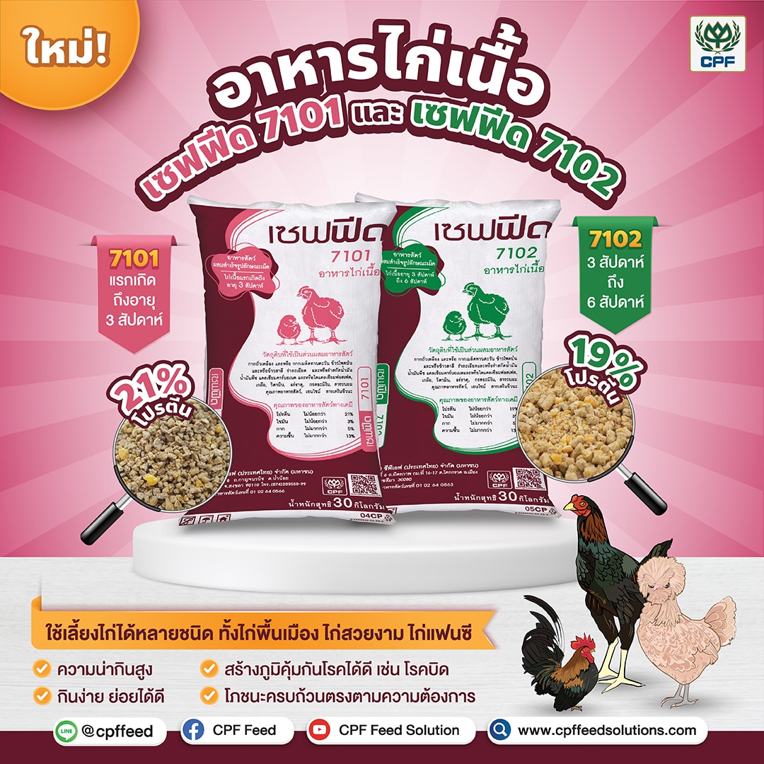 Cpffeed Solution 2024 - CPF Feed Solution