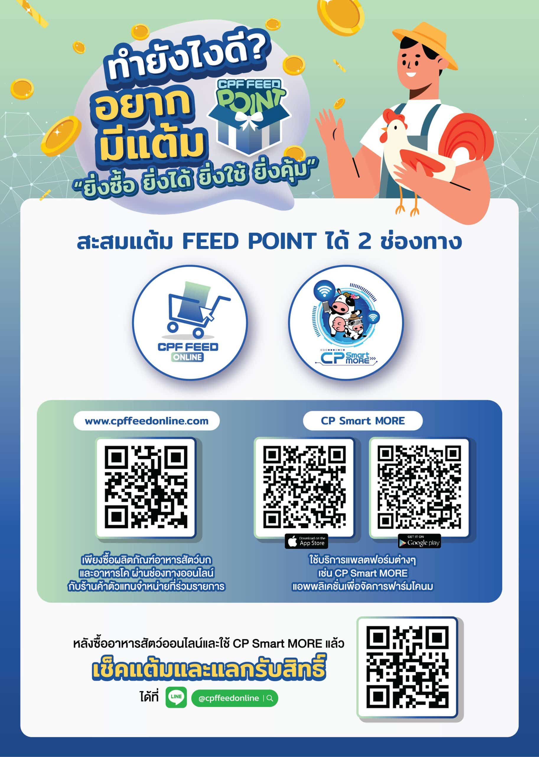 CPF FEED POINT - CPF Feed Solution