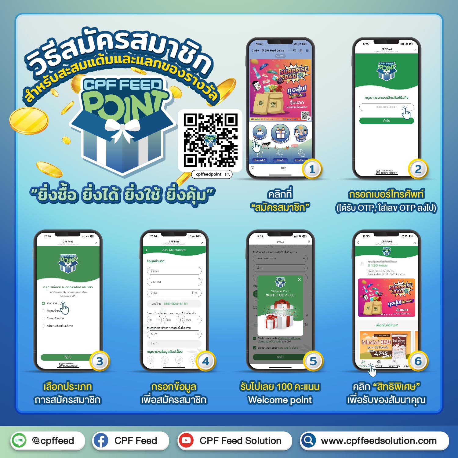 CPF FEED POINT - CPF Feed Solution