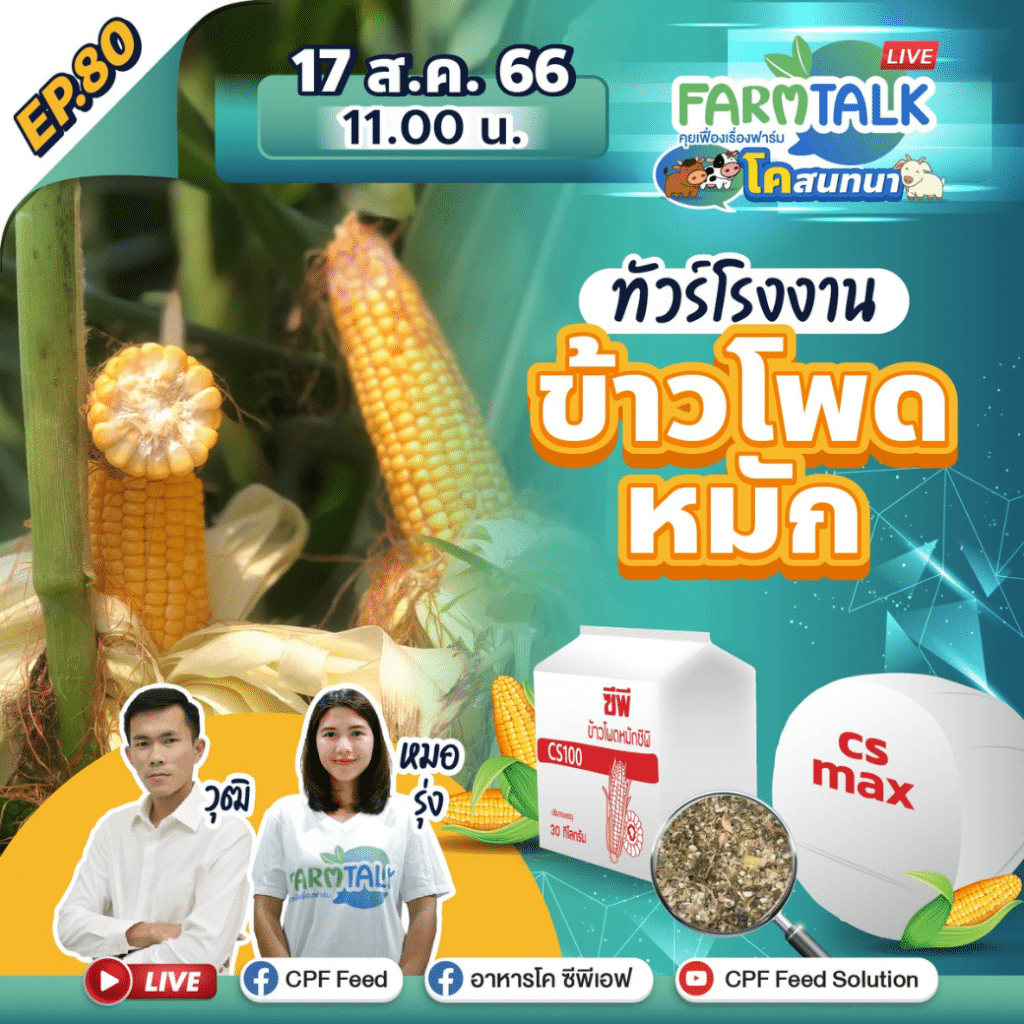 CPF Feed Solution - บริการแบบครบวงจร เพื่อสร้างความสำเร็จธุรกิจฟาร์ม