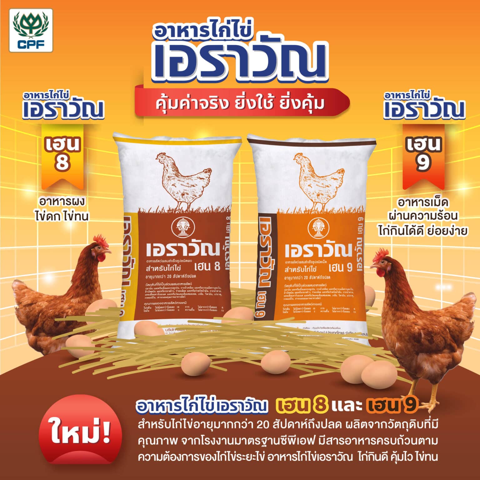 Cpffeed Solution 2024 - CPF Feed Solution