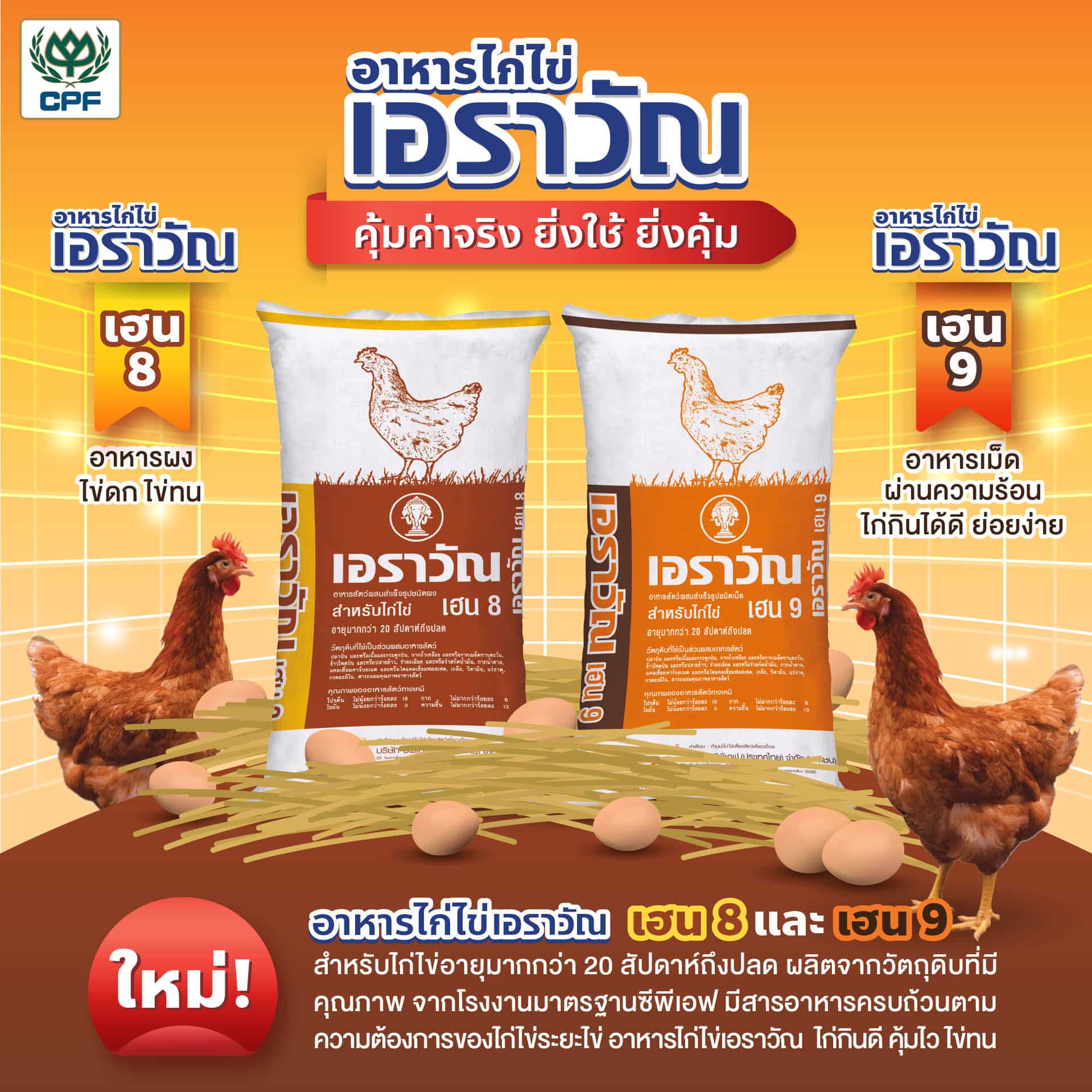 Cpffeed Solution 2024 - CPF Feed Solution