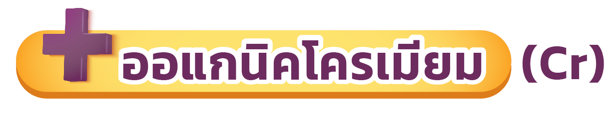 อาหารโคนม ซีพี 005-18jPlus - CPF Feed Solution