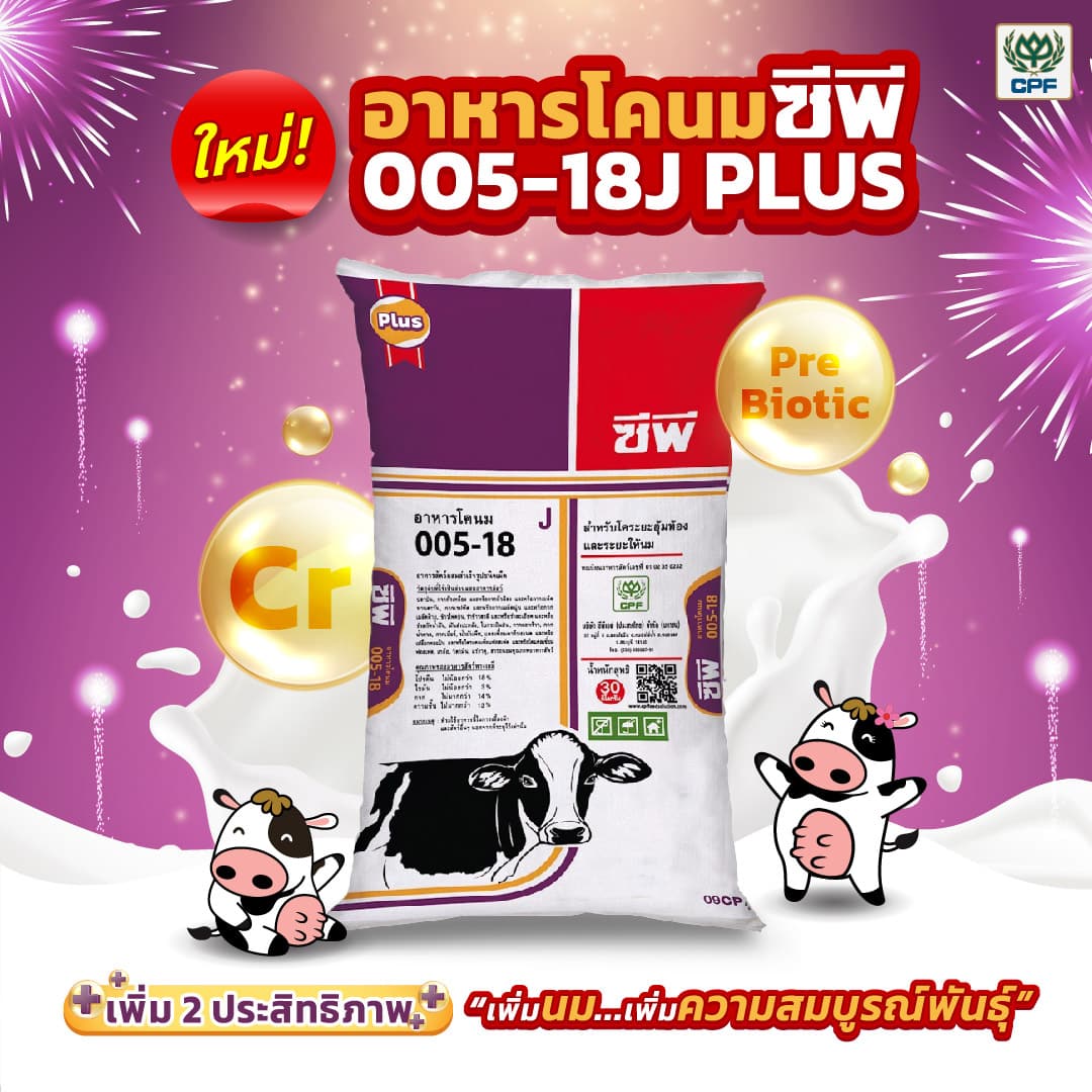 Cpffeed Solution 2024 - CPF Feed Solution