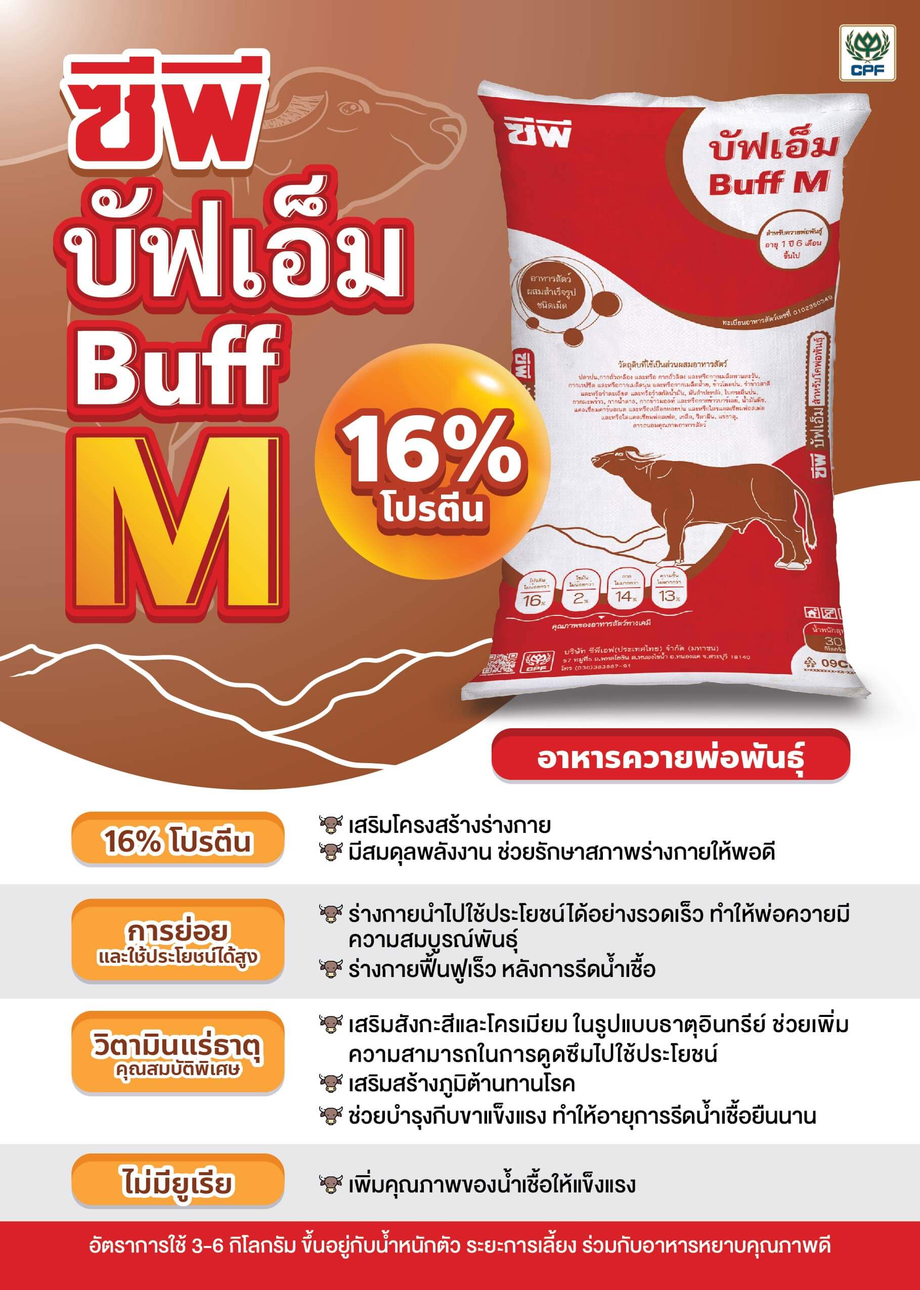 ซีพี บัพเอ็ม อาหารควายพ่อพันธุ์ - CPF Feed Solution