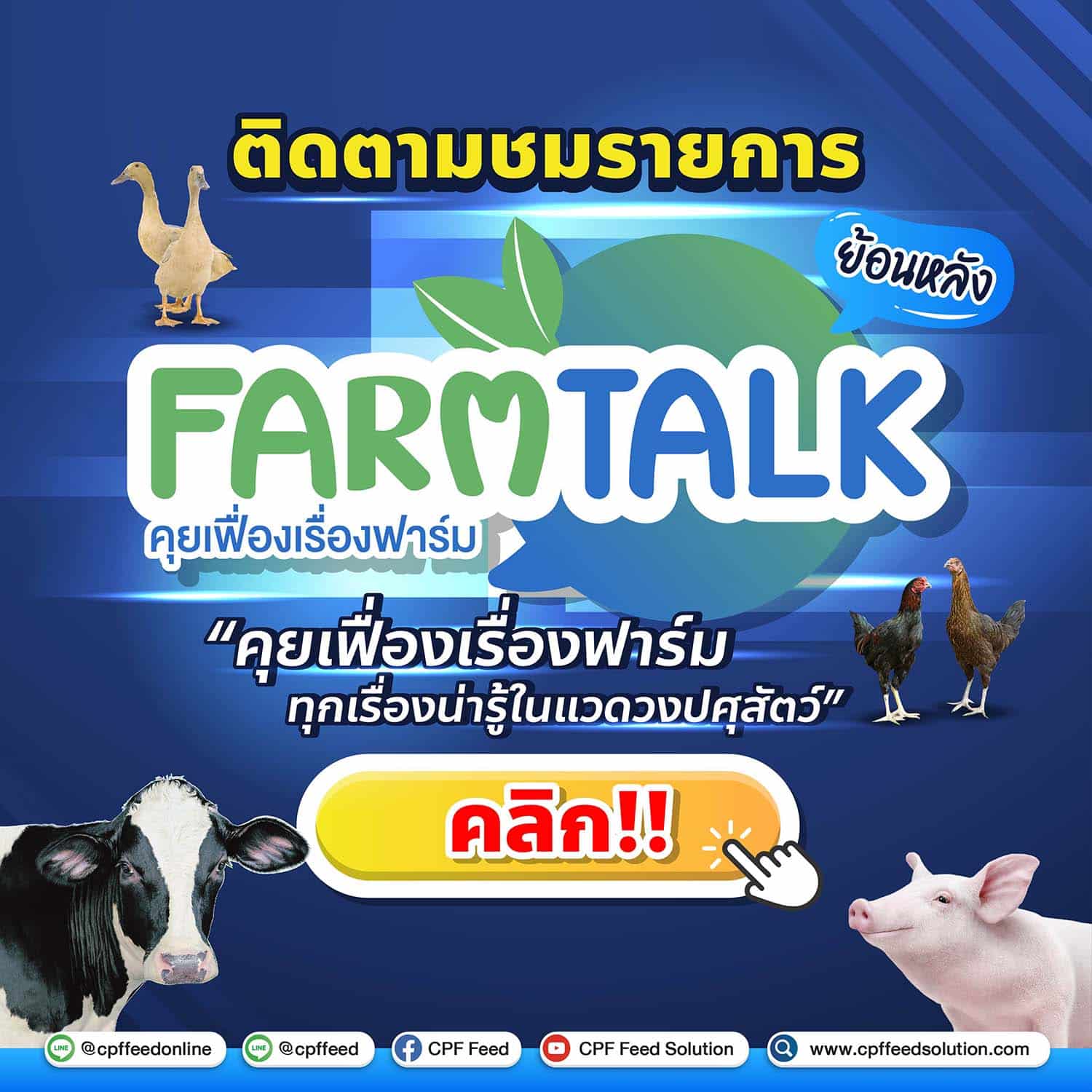 Cpffeed Solution 2024 - CPF Feed Solution