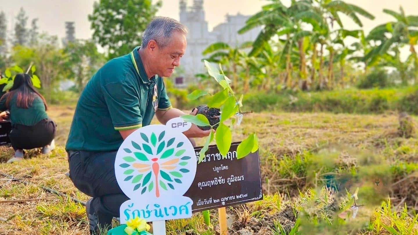 ธุรกิจอาหารสัตว์บก CPF" รวมพลังปลูกต้นไม้ ร่วมสร้างสิ่งแวดล้อมที่ดี - CPF Feed Solution