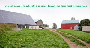 Cpffeed Solution 2024 - CPF Feed Solution