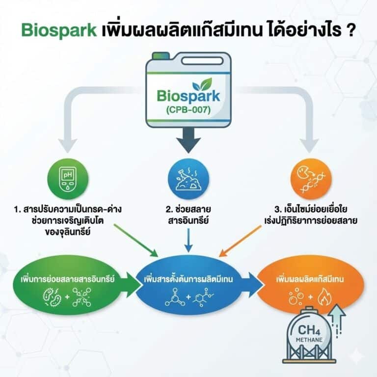 Biospark - CPF Feed Solution